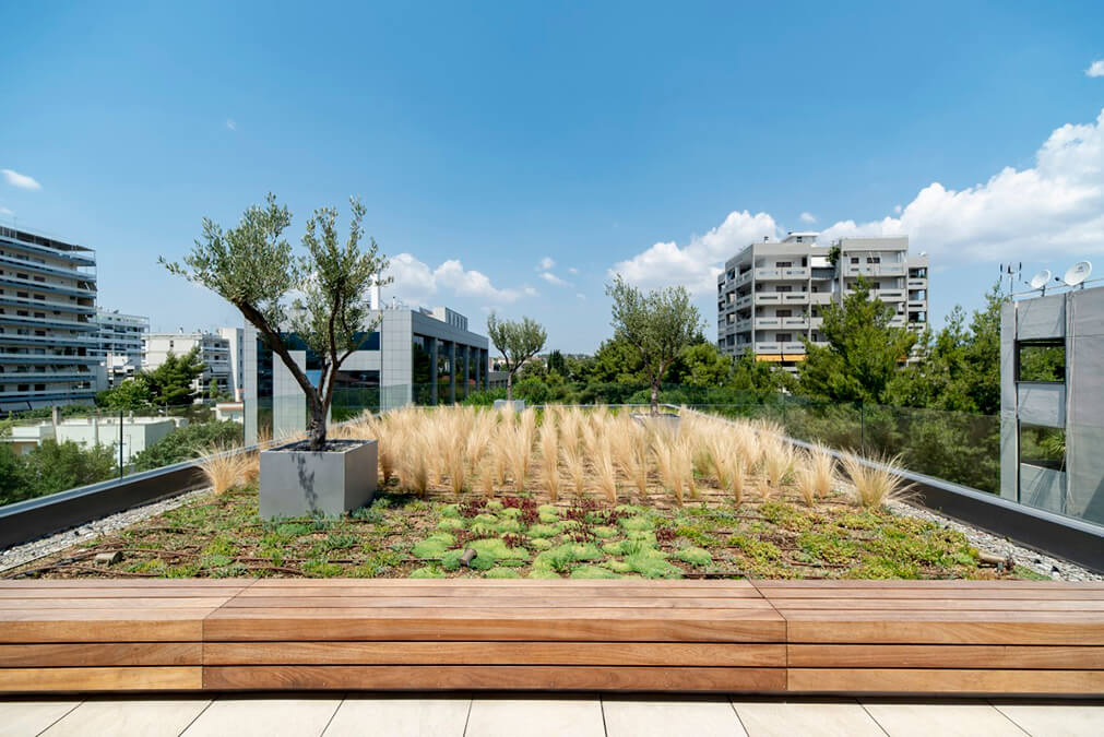 Butterfly Office Development | FocalPM